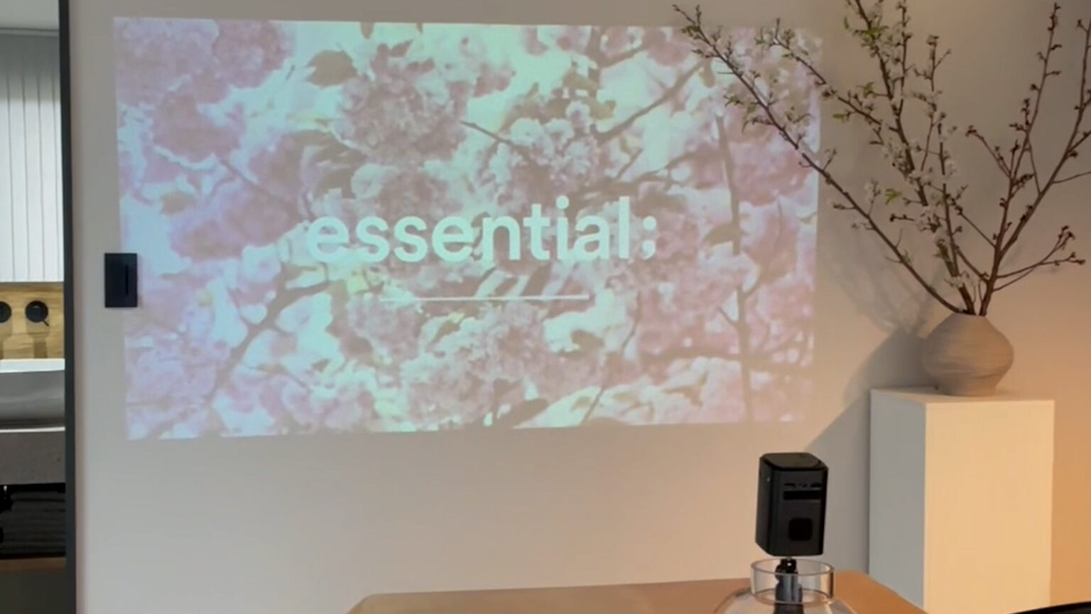 スマホがプロジェクターになるアプリはある？iphoneやAndroidなど実際に調査 | CINEMAGE（シネマージュ）オフィシャルサイト